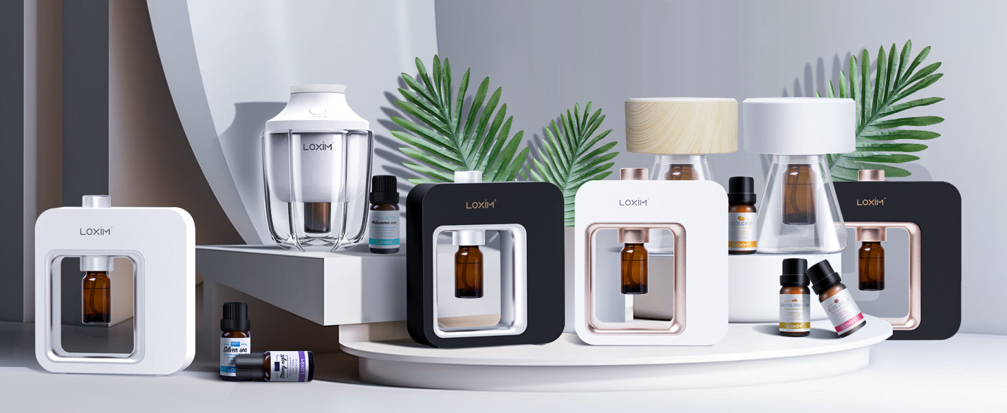 Collections – LOXIM